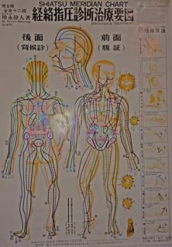 Shiatsu Meridian Chart - Yo-Shiatsu